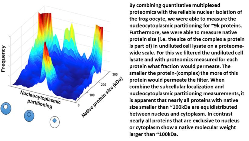 Study Cellular Organization | Laboratory for Systems Biochemistry
